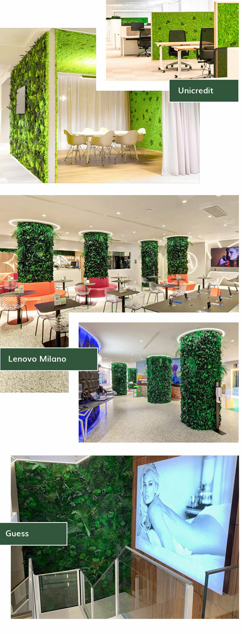 Verde Verticale per Interni & Esterni - Green Habitat